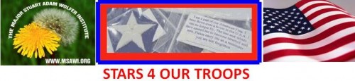 The Major Stuart Adam Wolfer Institute & The Stars 4 Our Troops ...