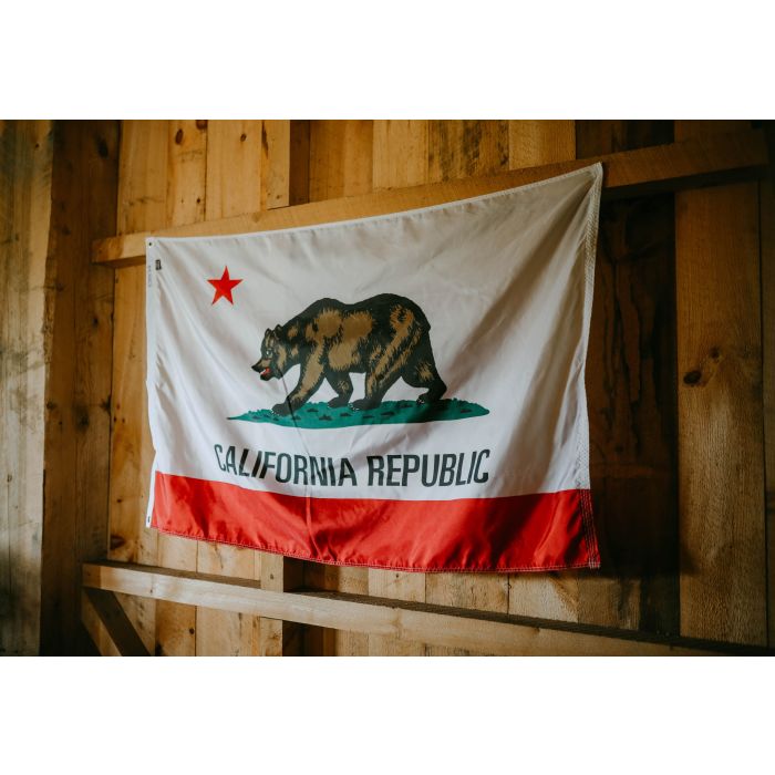 California State Flag California State Flag Pin | PinMart