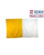 Antrim County GAA Colors