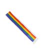 Rainbow Parade Sash